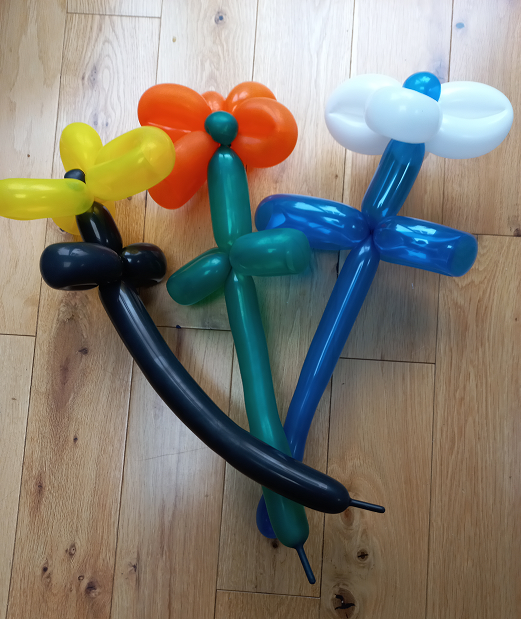 Balloon Modelling in Sheffield Area